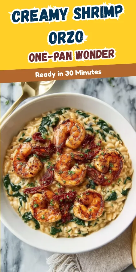Best Creamy Shrimp Orzo One-Pan Wonder Ready in 30 Minutes!